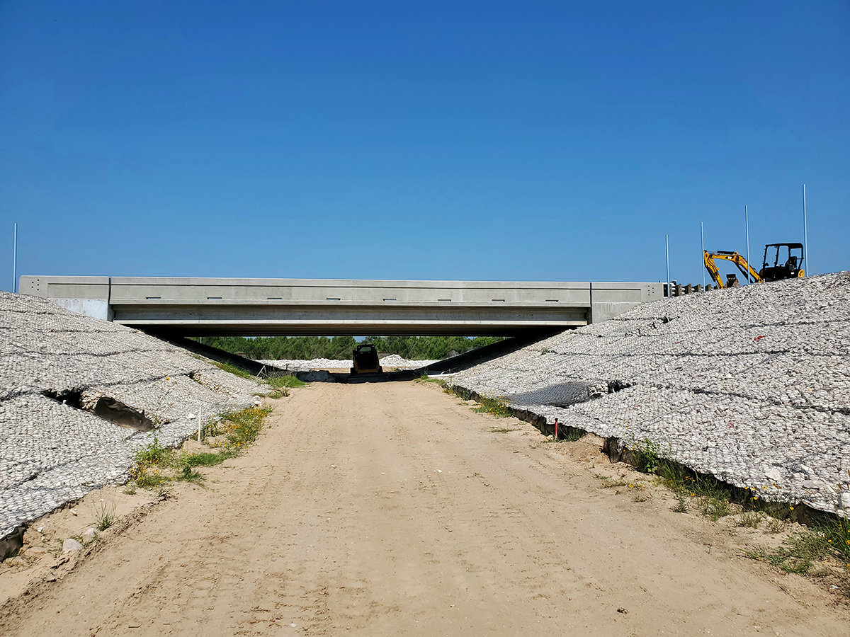 TxDOT wildlife crossings keeping animals safe